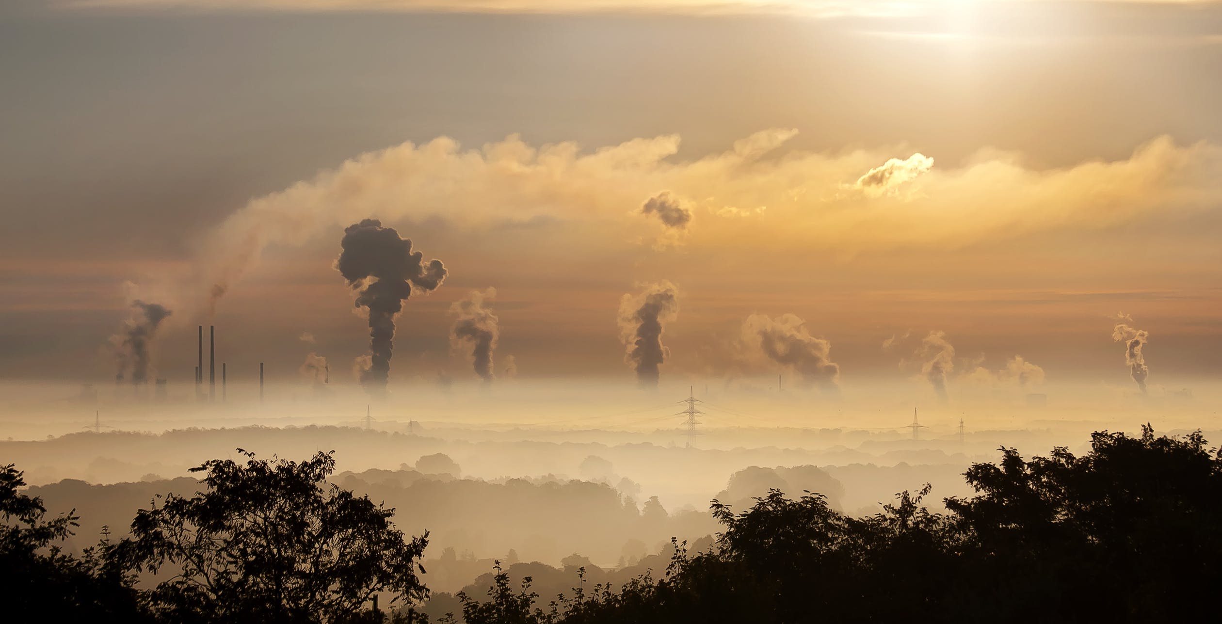 Ten Top Tips For Reducing Your Air Pollution Exposure - NC Insurance